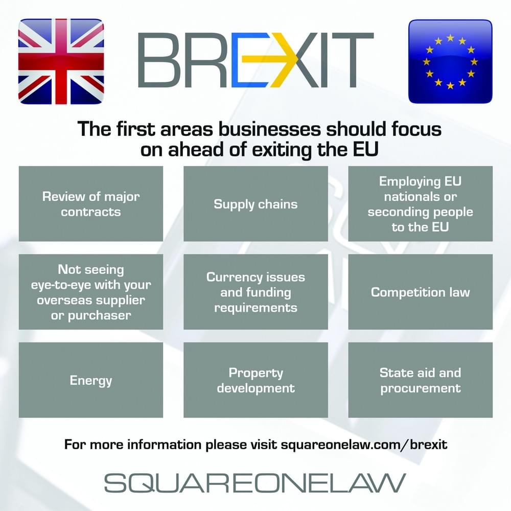 EU referendum: signposting businesses to the immediate issues ...