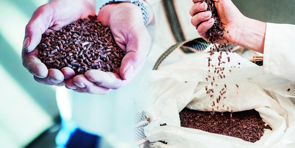 CALYSTA MAKING WAVES IN THE AQUACULTURE INDUSTRY - Northern Insight ...