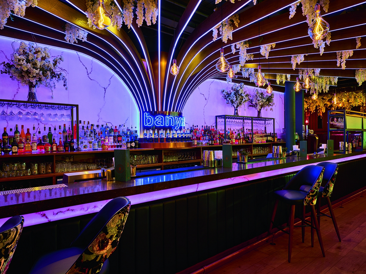 BANYAN BLOSSOMS IN THE HEART OF THE CITY - Northern Insight Magazine