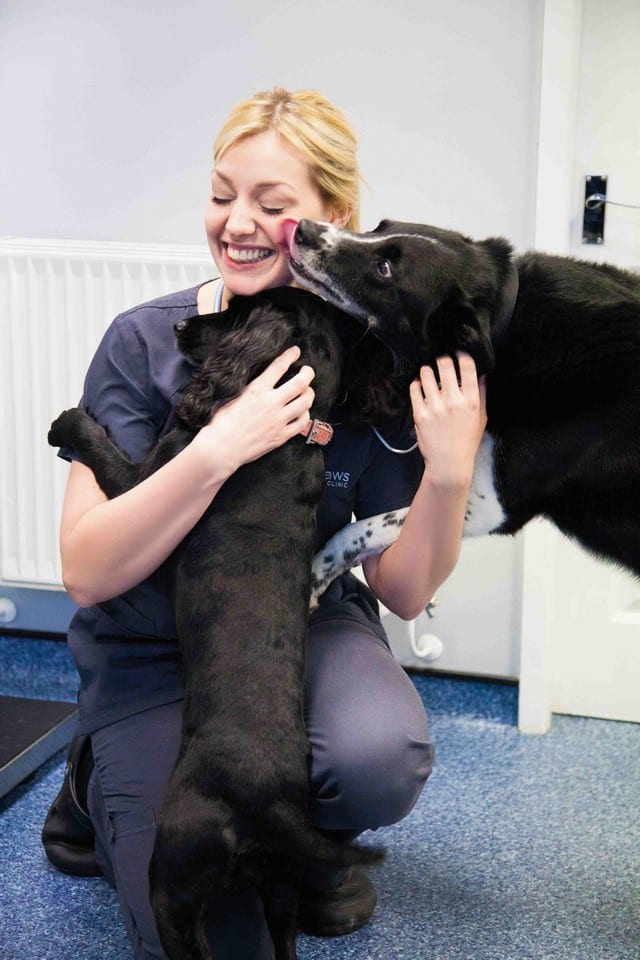 THE PET DOCTOR - Northern Insight Magazine