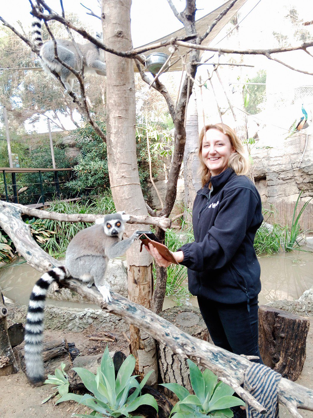 Gibraltar zoo goes wild for North East tech firm n-gage.io - Northern ...