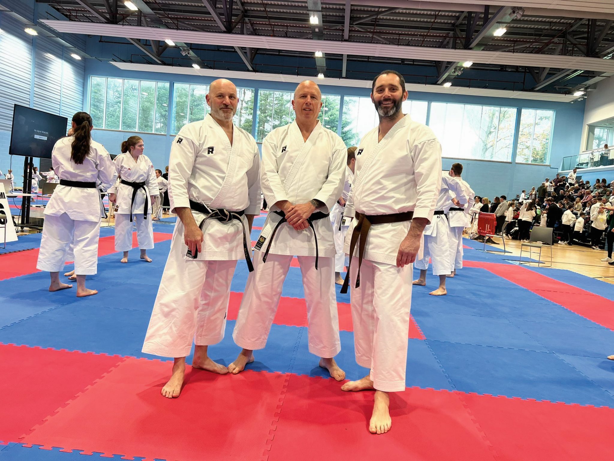 30 years and still climbing - Northern Insight Magazine