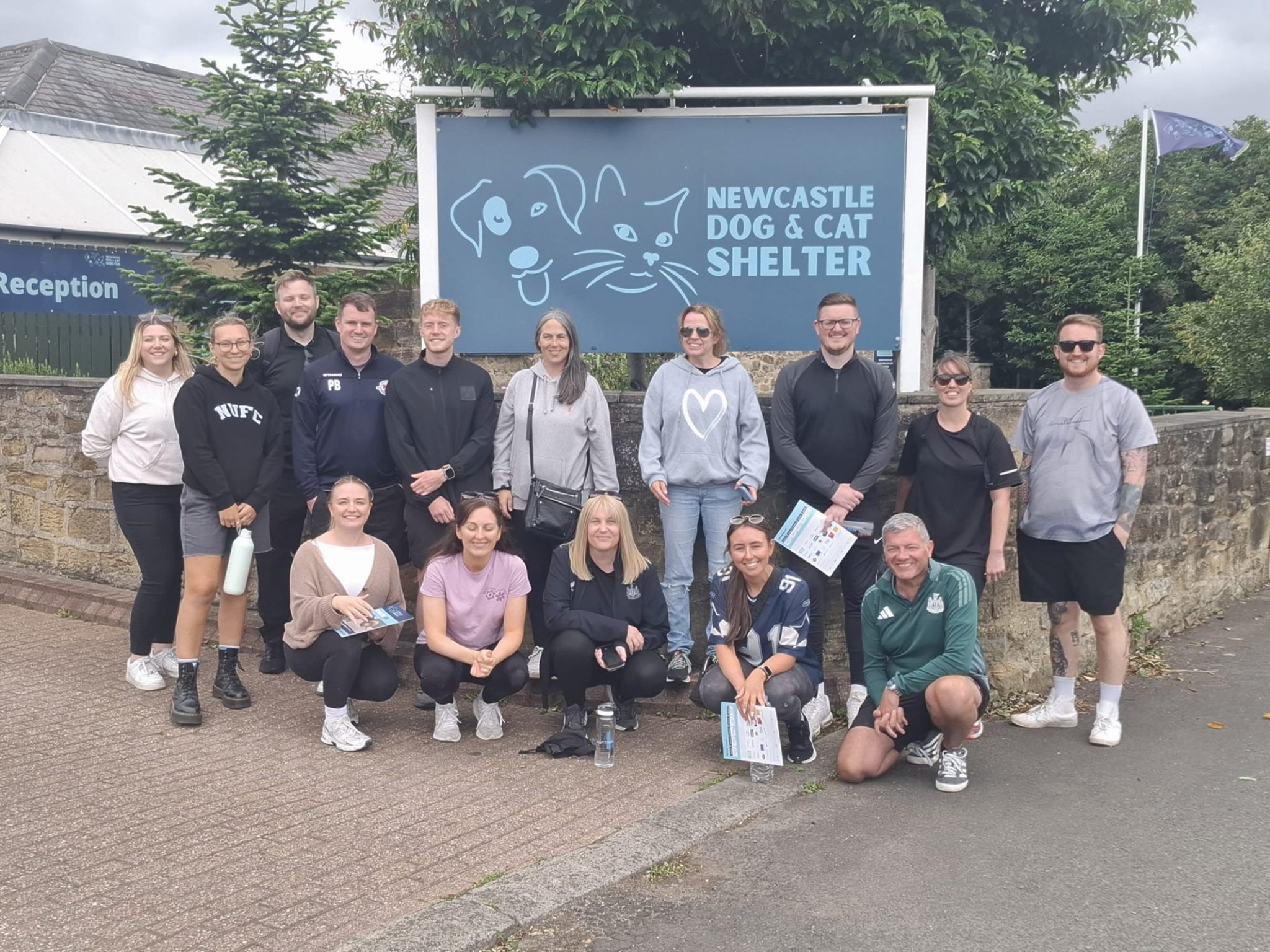 How businesses can support Newcastle Dog & Cat Shelter - Northern ...
