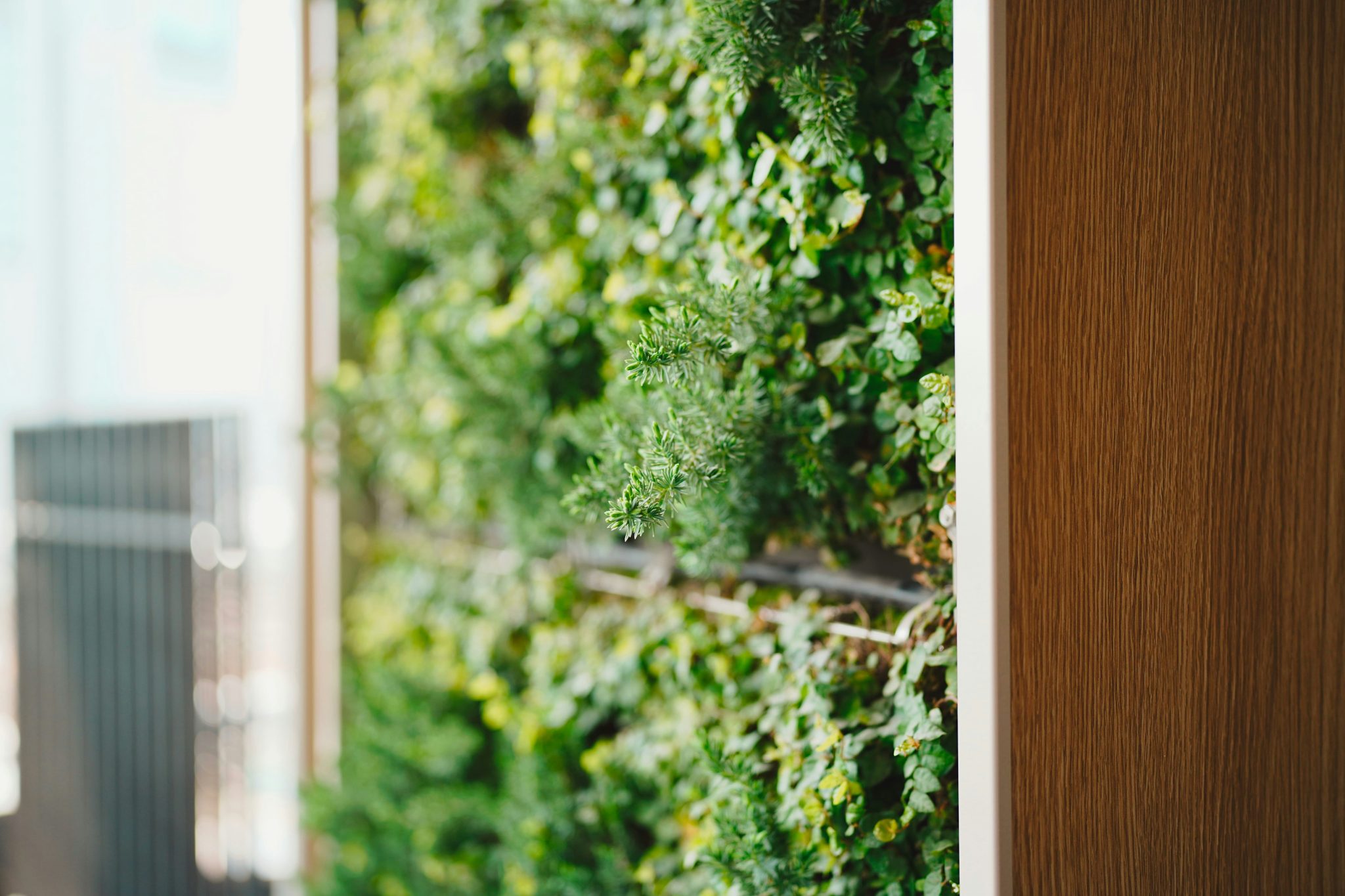Sustainable Office Design Trends for 2026 - Northern Insight Magazine