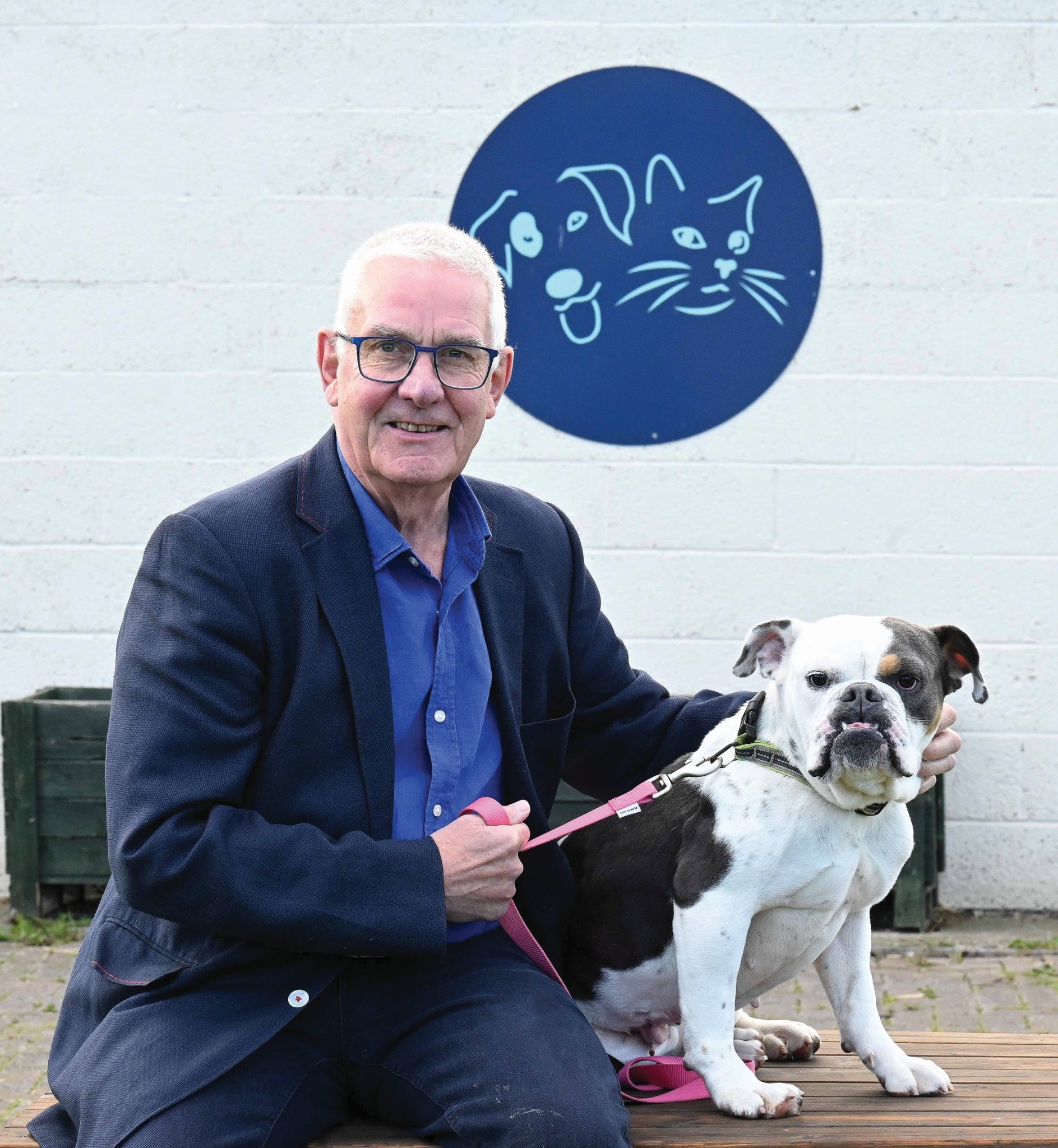 Much loved pet charity in prime position thanks to Experience Bank ...